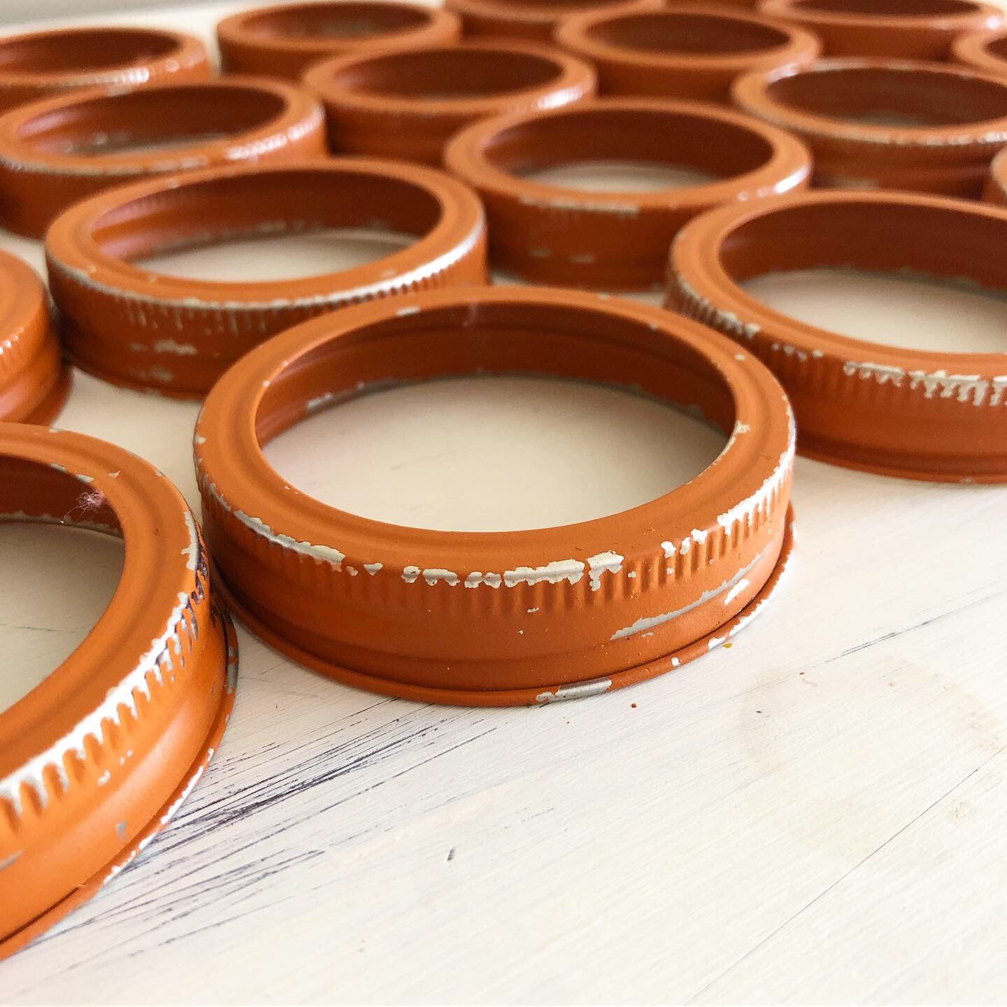 Canning Ring Pumpkin - Katie Drane